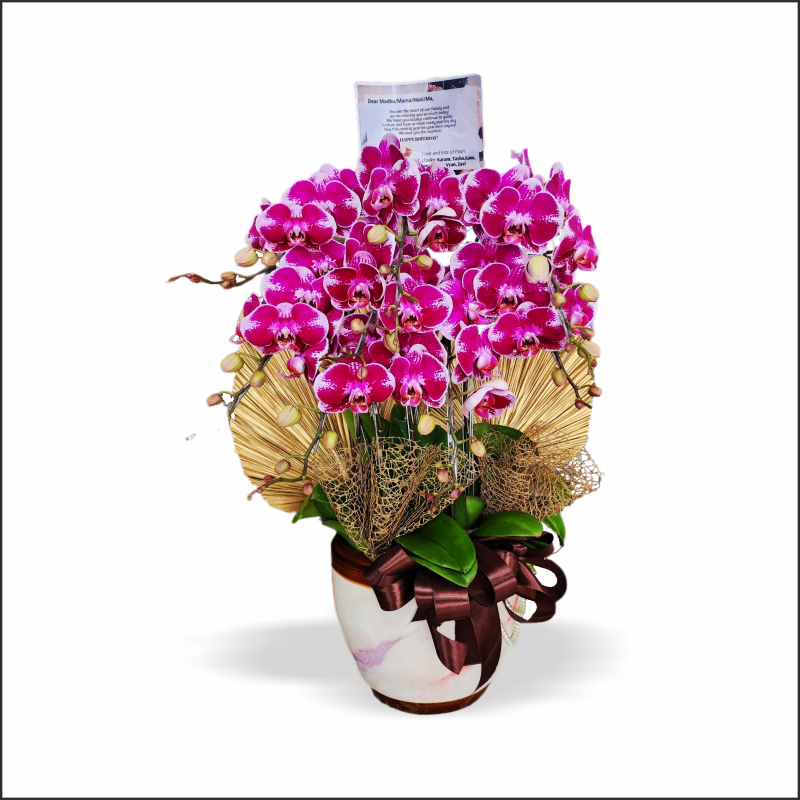 Buket Anggrek- Tuku Kembang